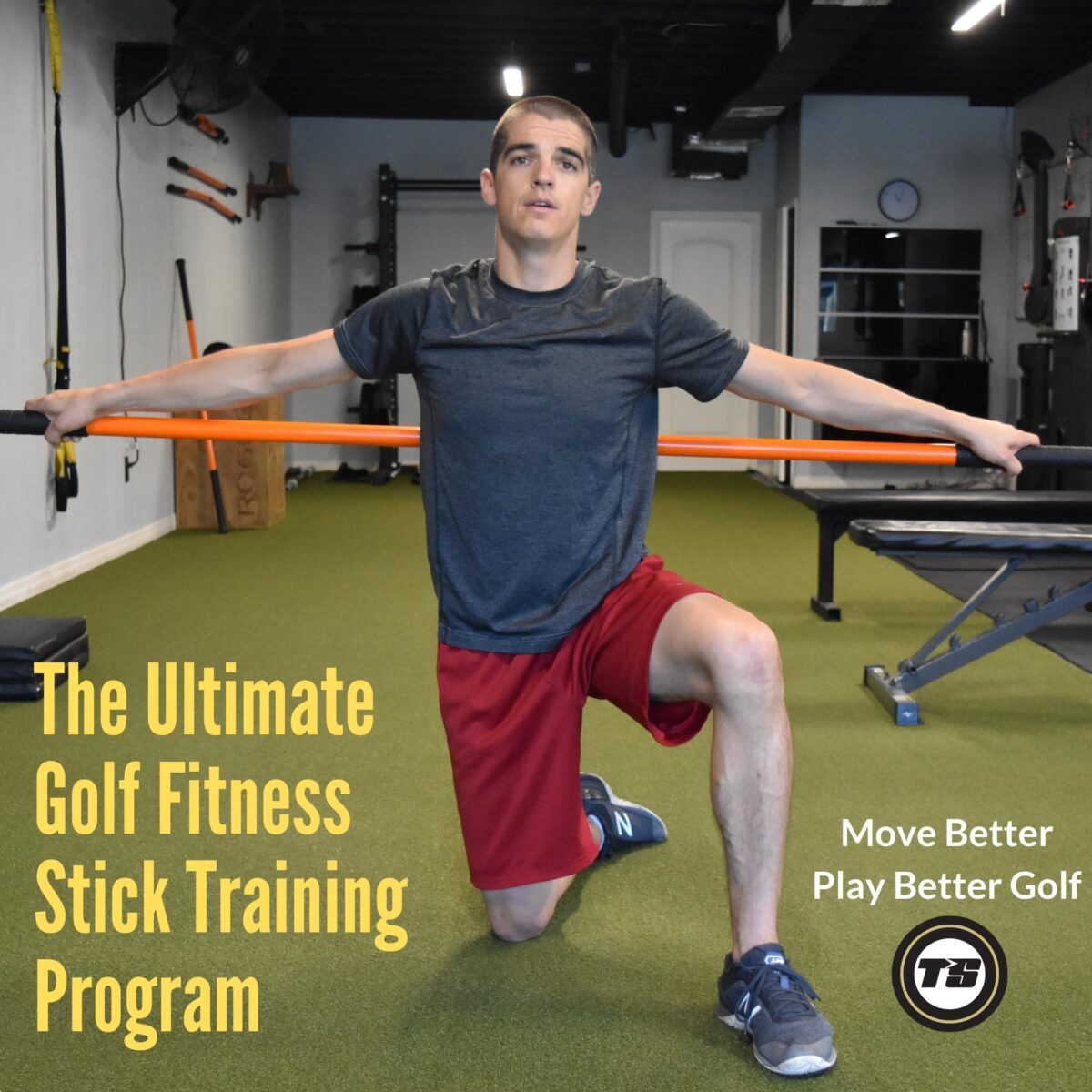 Online Options - South Tampa Fitness Training | Tampa Strength